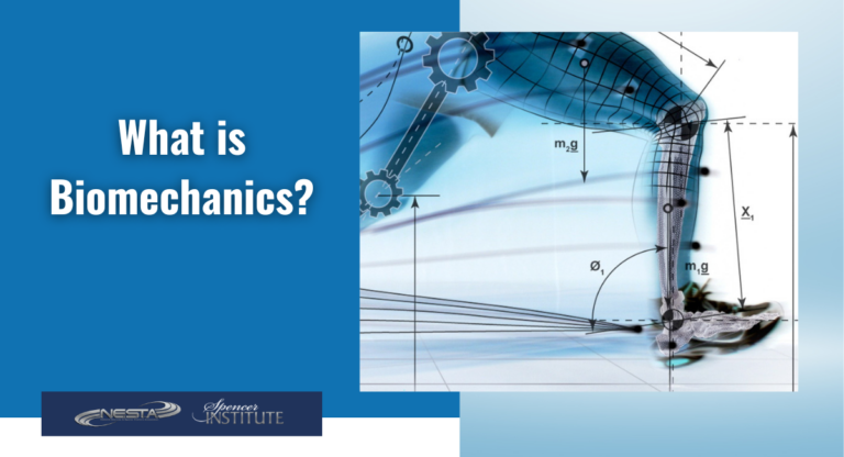 What is Biomechanics | What Personal trainers Need to Know?