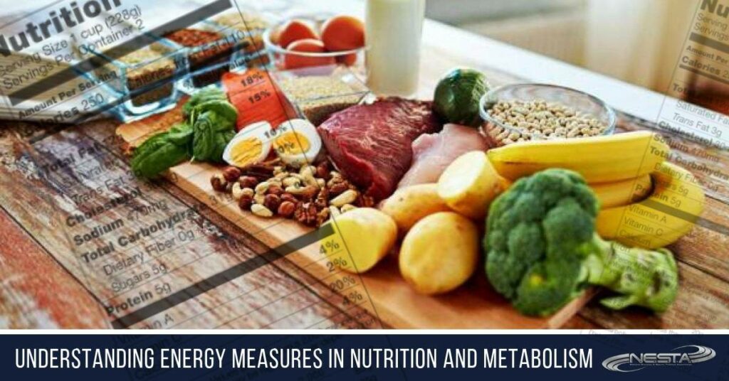 Understanding Energy Measures in Nutrition and Metabolism