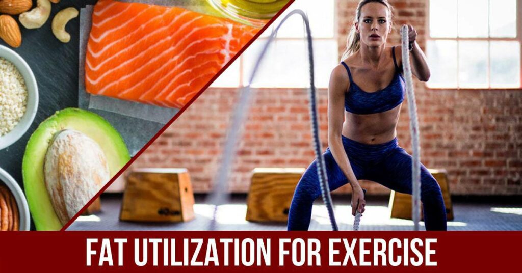 Fat Intake & Utilization | Nutrition Knowledge for Trainers & Coaches
