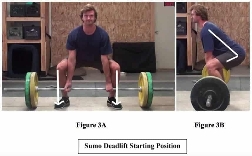Deadlift for Personal Training (Conventional, Sumo, and Stiff Leg)