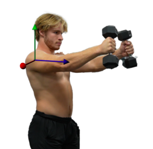 Important Movements and Mobility of the Shoulder Complex