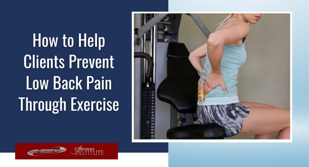 Low Back Pain Treatment Options, Anatomy, Causes and Exercise