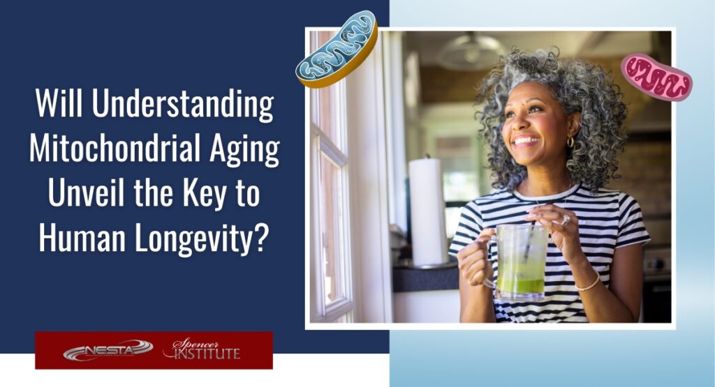 Mitochondrial Aging and its Connection to Human Longevity