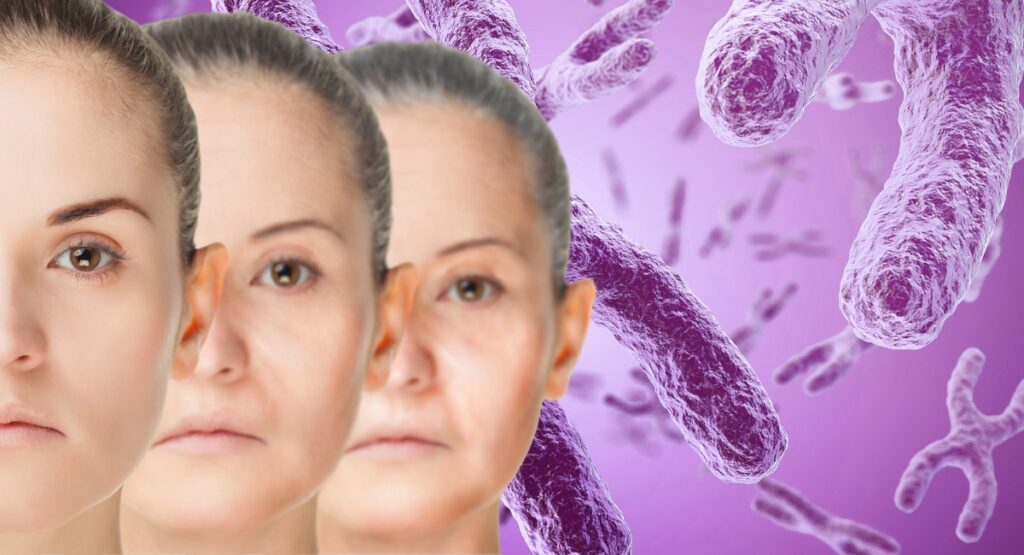 Telomeres: Unlocking the Secrets of Cellular Aging and Beyond