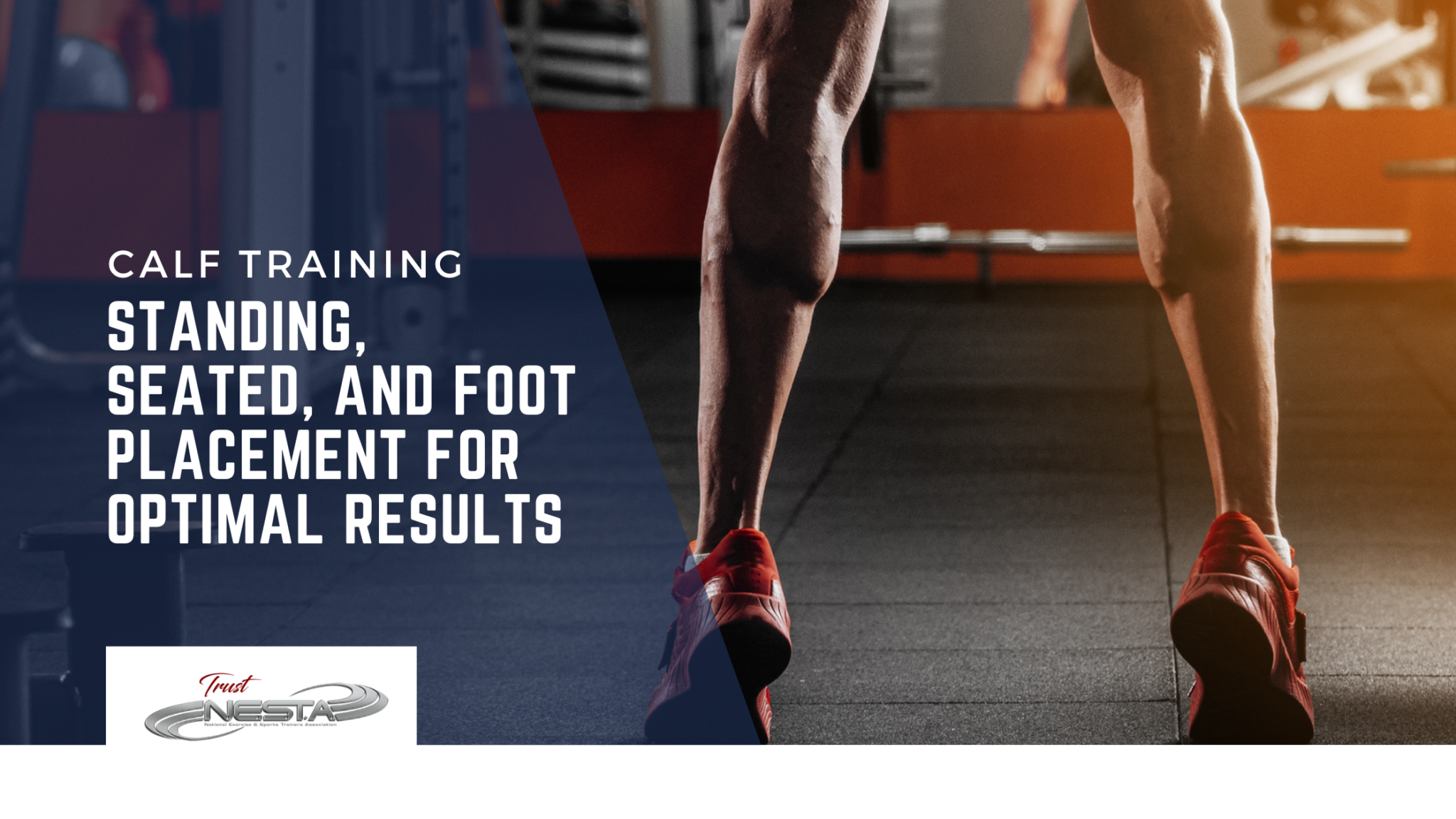 Standing Calf Raise vs. Seated Calf Raise - Personal Trainer ...